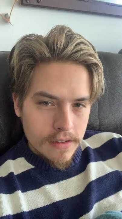Dylan Sprouse Biography: Age, Career, Wife, Movies, Net Worth, Twin ...