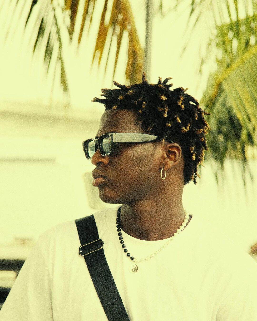 Lucid Biography: Age, Career, Parent, Songs, Record Label, Net Worth ...