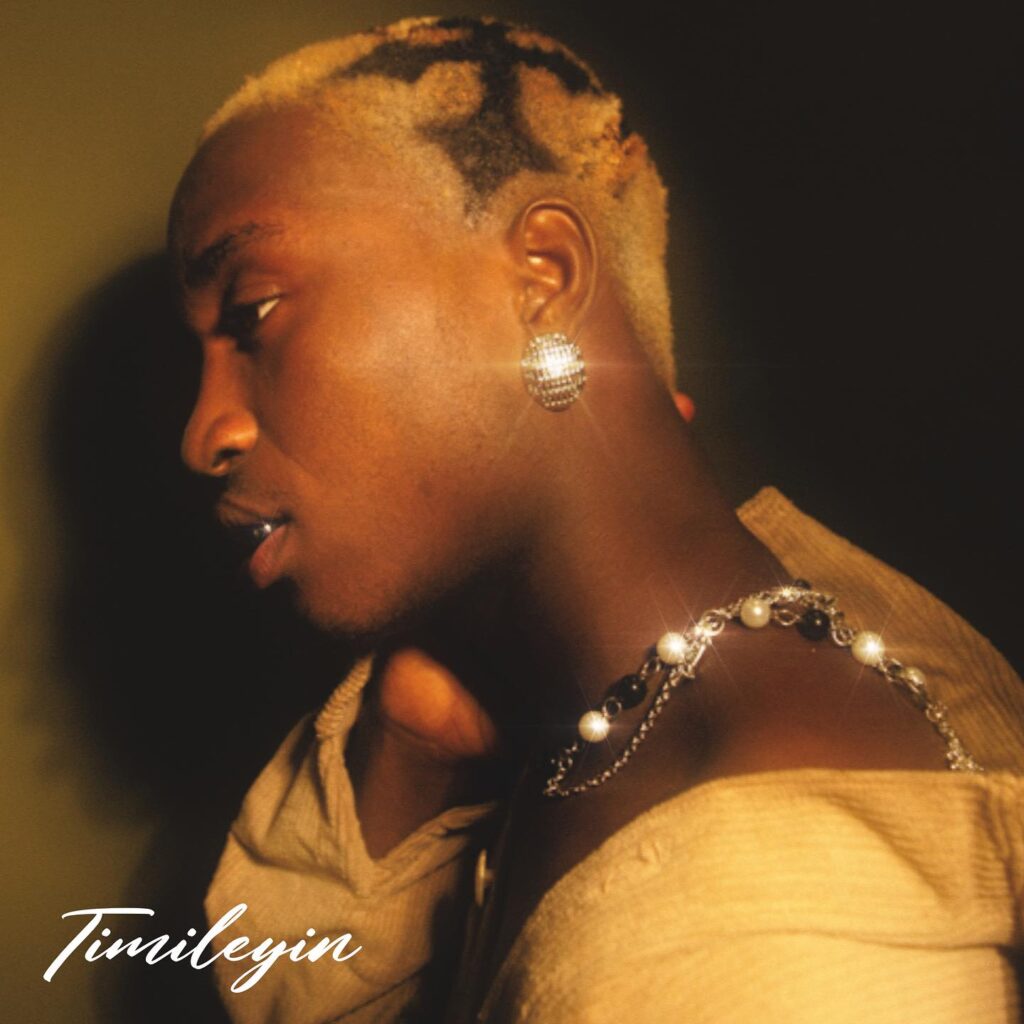 TML Vibez Biography: Age, Career, Net Worth, Songs, Record Label ...